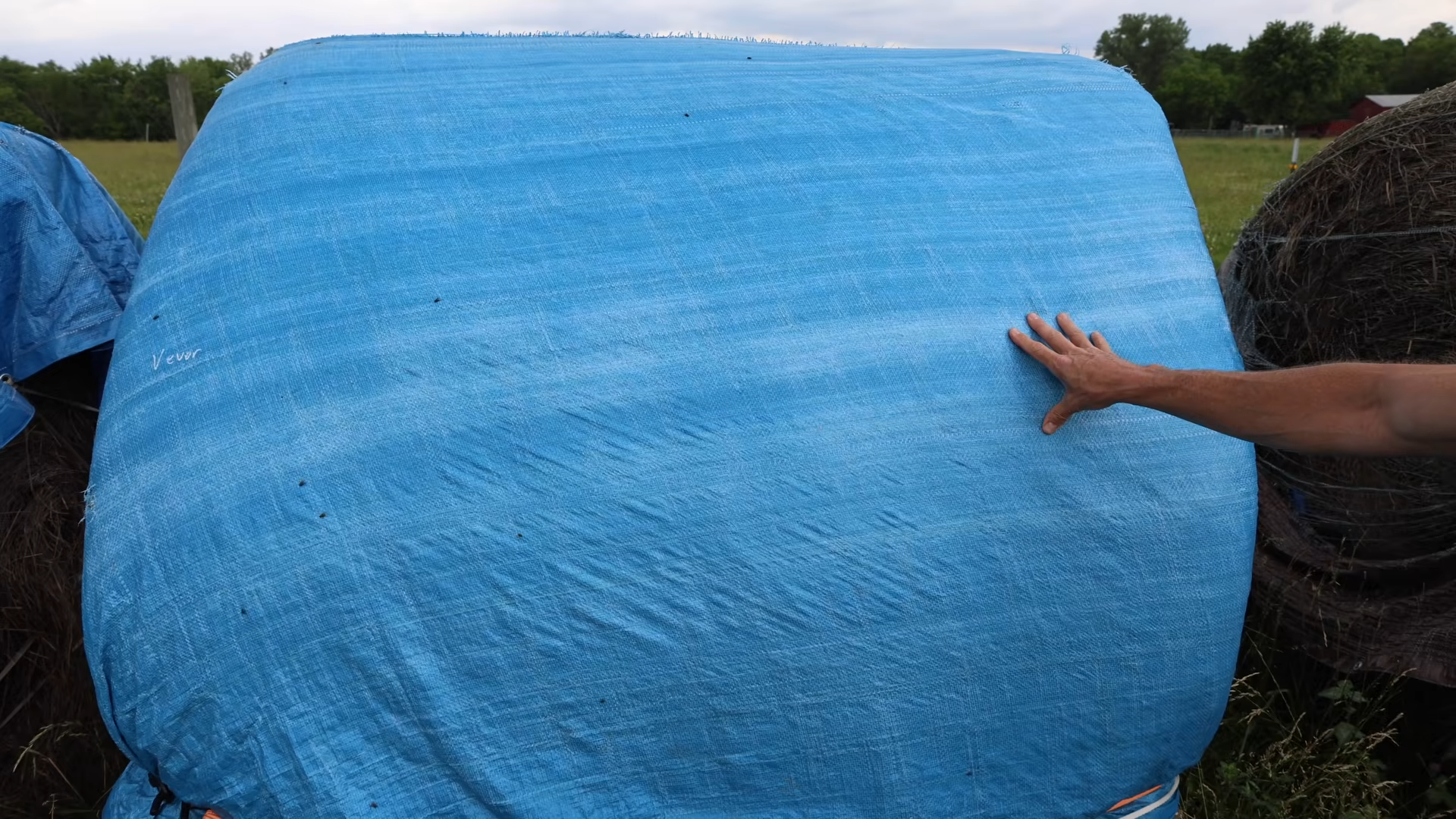 This video shows which tarp survived a full year outside