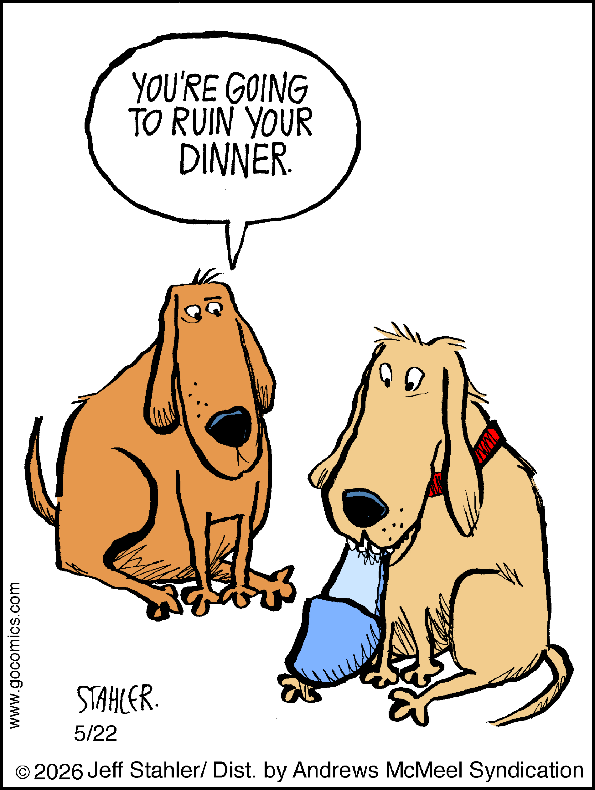 Moderately Confused by Jeff Stahler