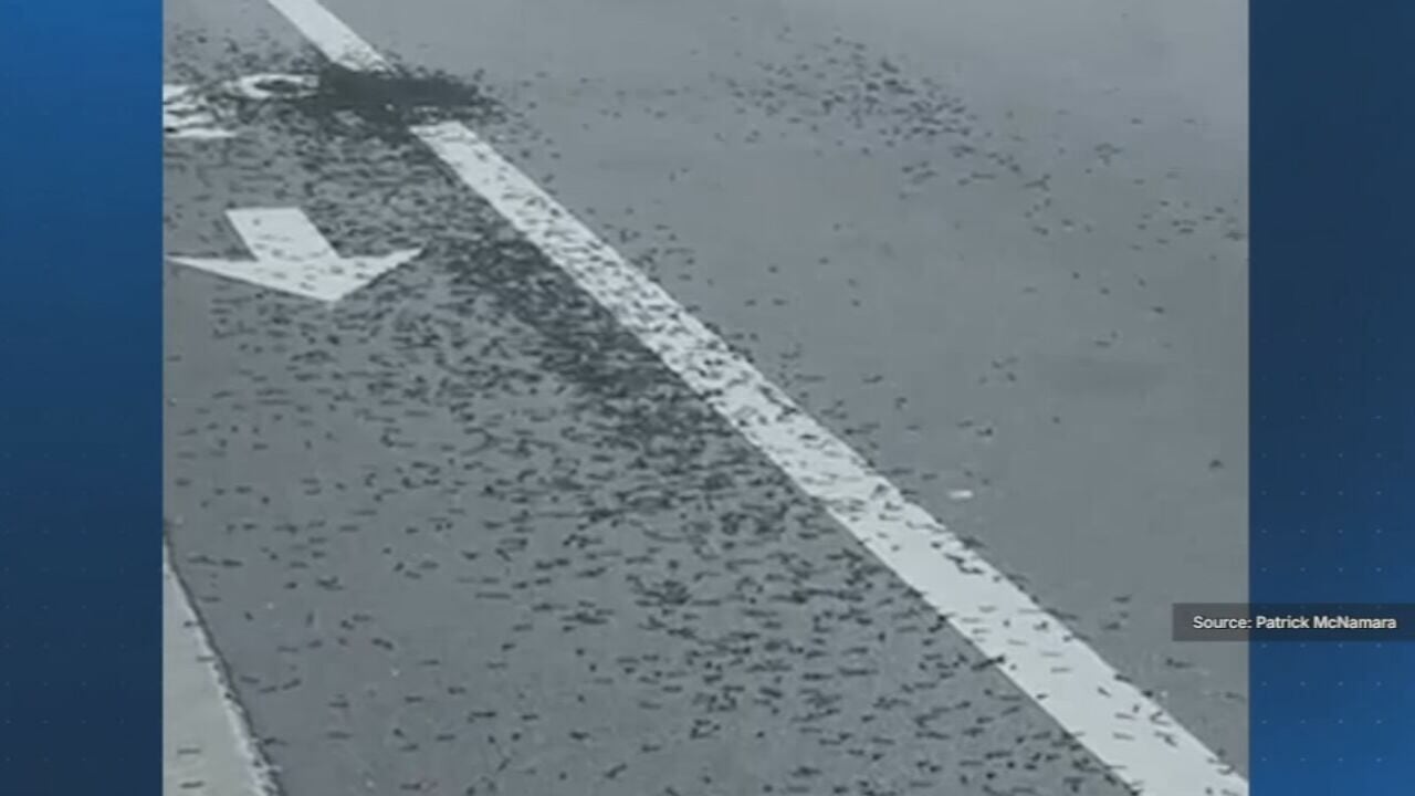Drivers stranded after hundreds of screws scattered across Central ...