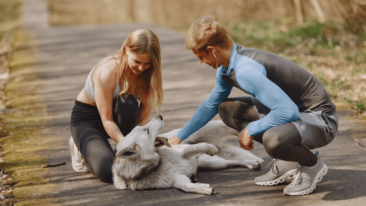 5 reasons dogs love humans more than we realize