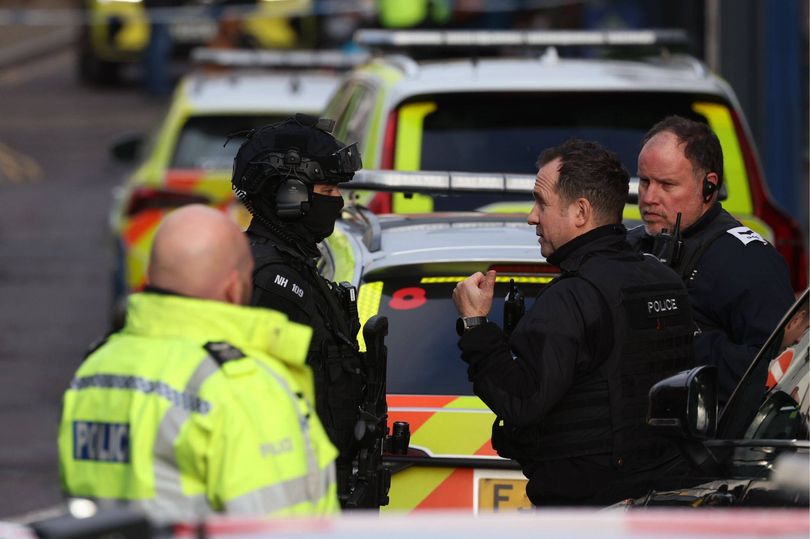 Armed police called to UK town as two XL Bullies fight and man bitten
