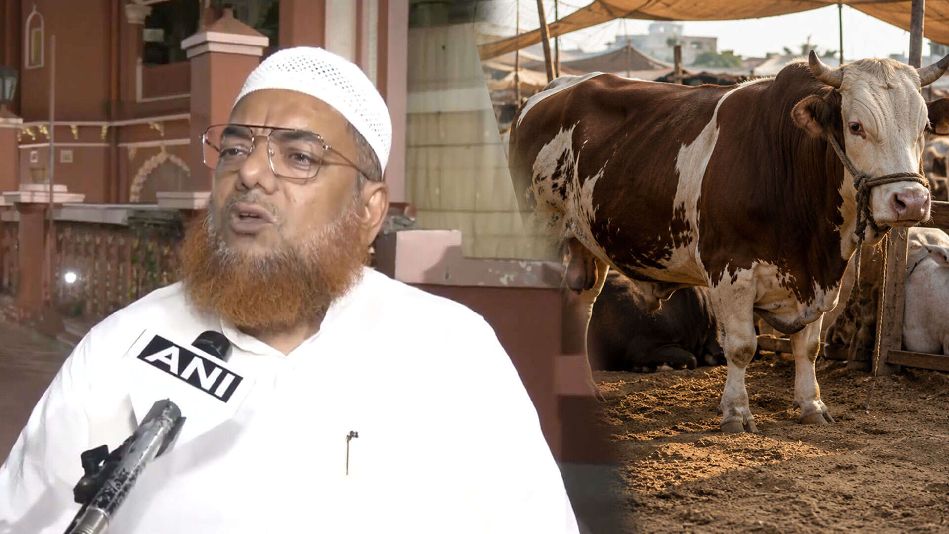 Muslim clerics across India appeal for restraint on cow sacrifice ahead ...