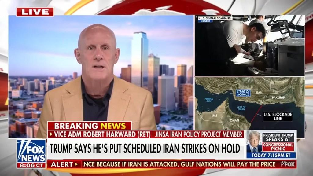 People are convinced Fox News guest is wearing 'realistic human face mask'