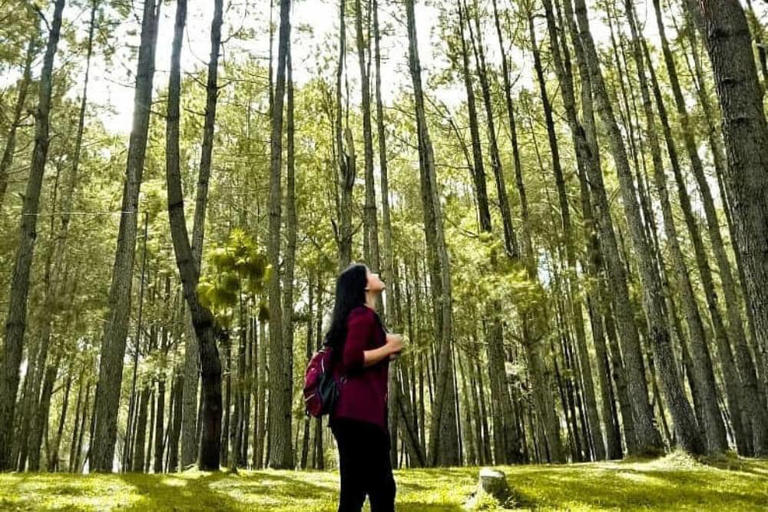 20 tempat wisata di Medan yang lagi hits dan harganya