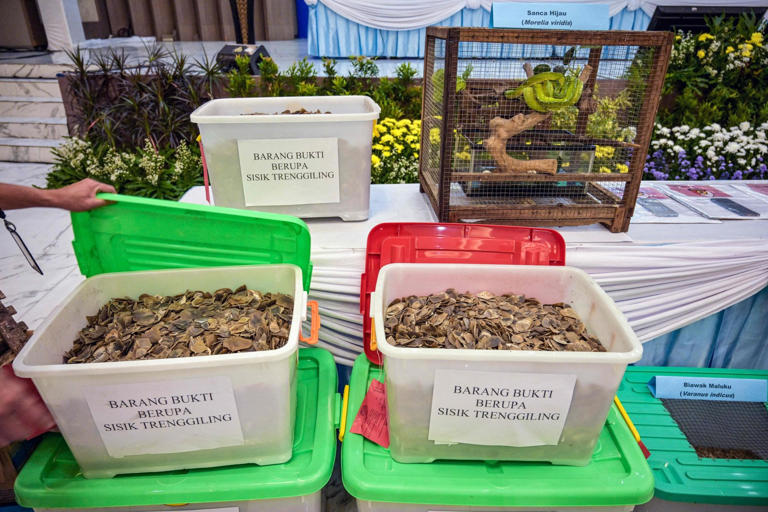 Over 4,300 Southeast Asian species face extinction threat