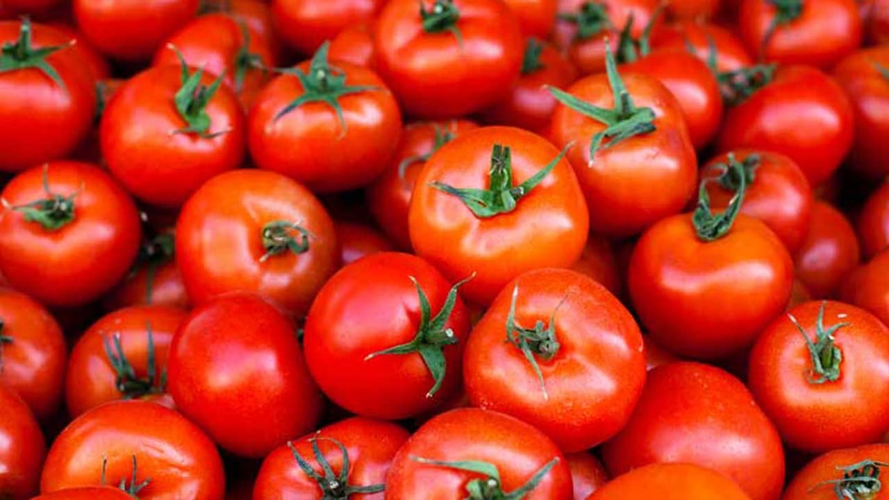 Home gardening: 5 easy edible plants you can grow with almost no effort