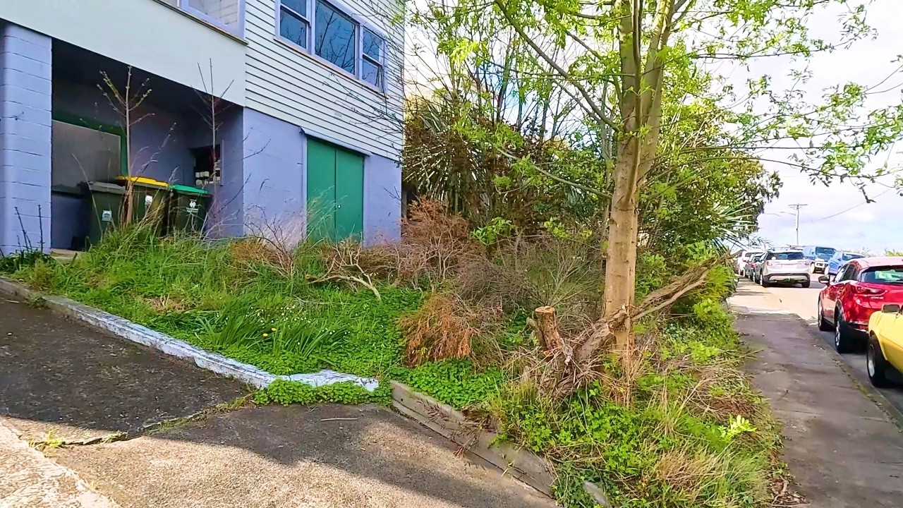 The real estate agent thought it was hopeless!