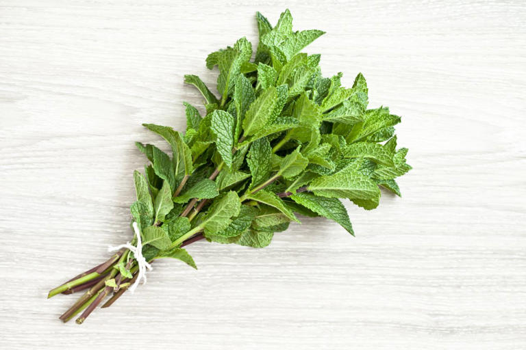 10 watermelon companion plants that boost growth—and 3 to skip