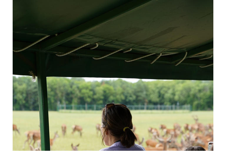 Celebrating 100 years of farming at Stourton on Open Farm Sunday