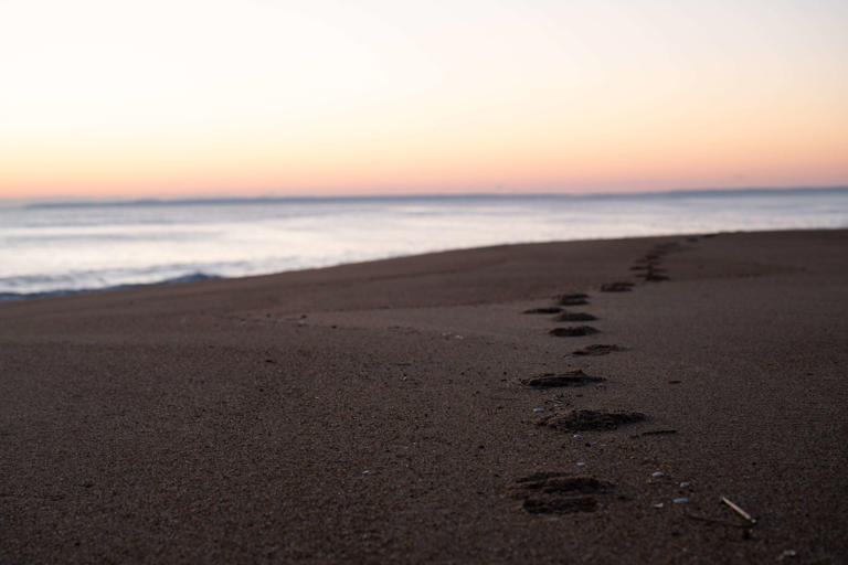 Mass. beach closed day before Memorial Day weekend