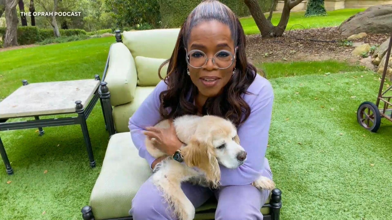 New miniseries highlights bond between dogs and their owners