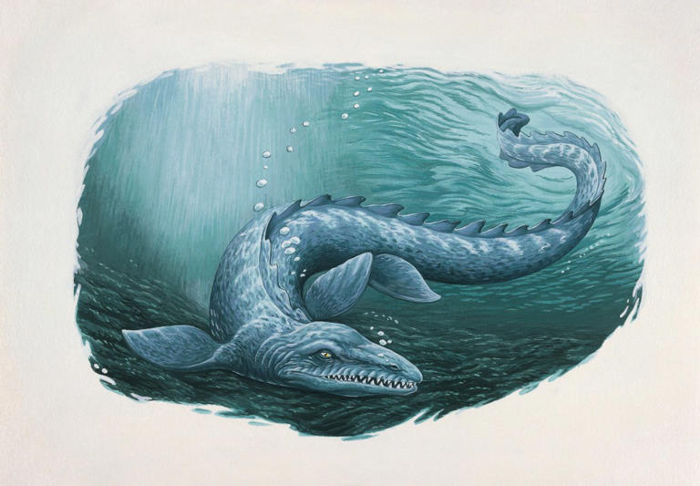 Incredible species of T rex discovered — a beast with skull-crushing ...