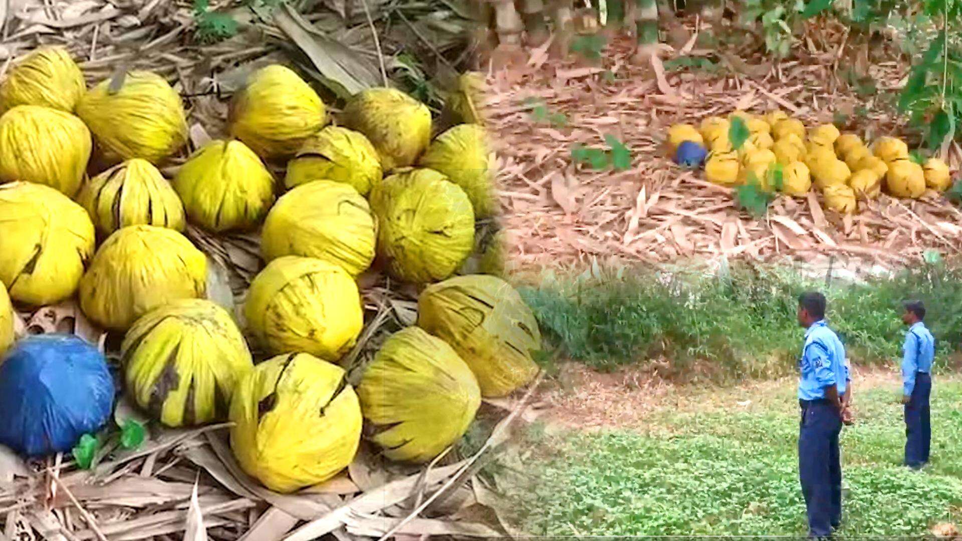 West Bengal: Crude bombs recovered in Birbhum’s Kod village, area ...