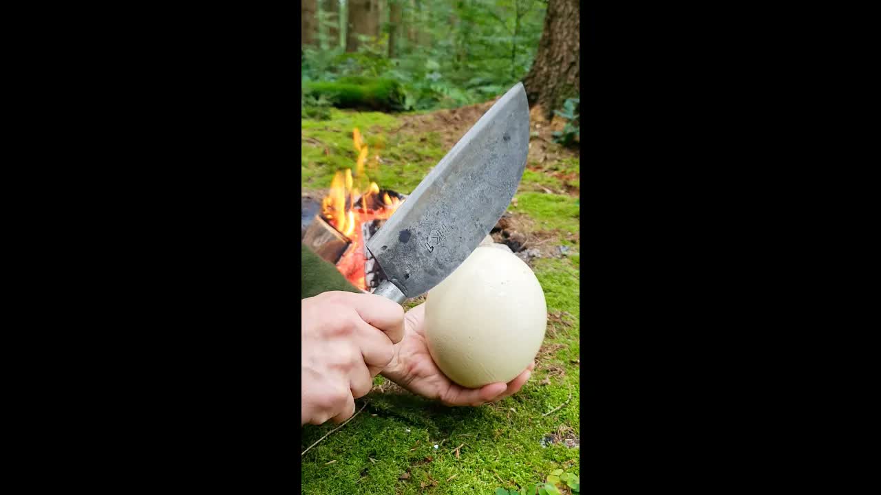 This is the best noise on the internet today!