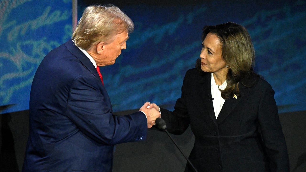 Democrats release 2024 election autopsy after months of intense pressure
