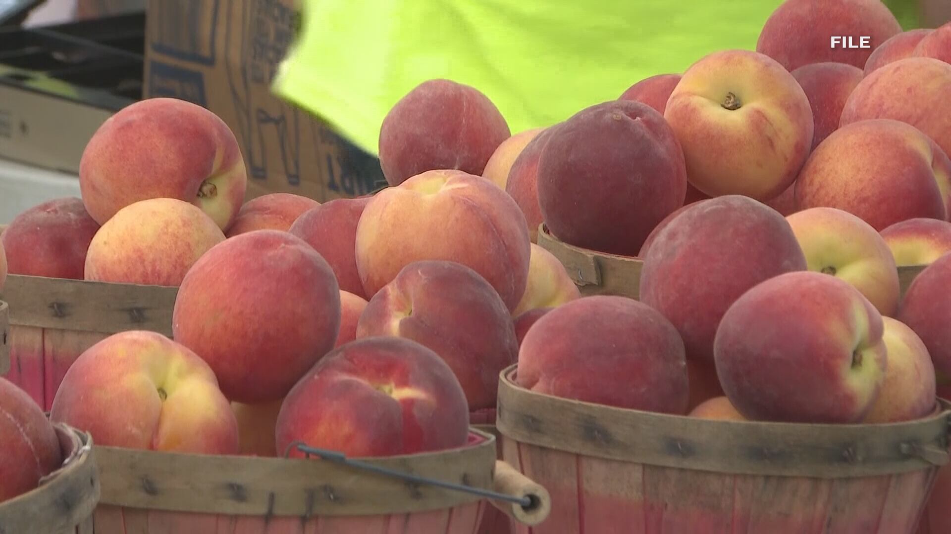 76th annual Louisiana Peach Festival set for June 6