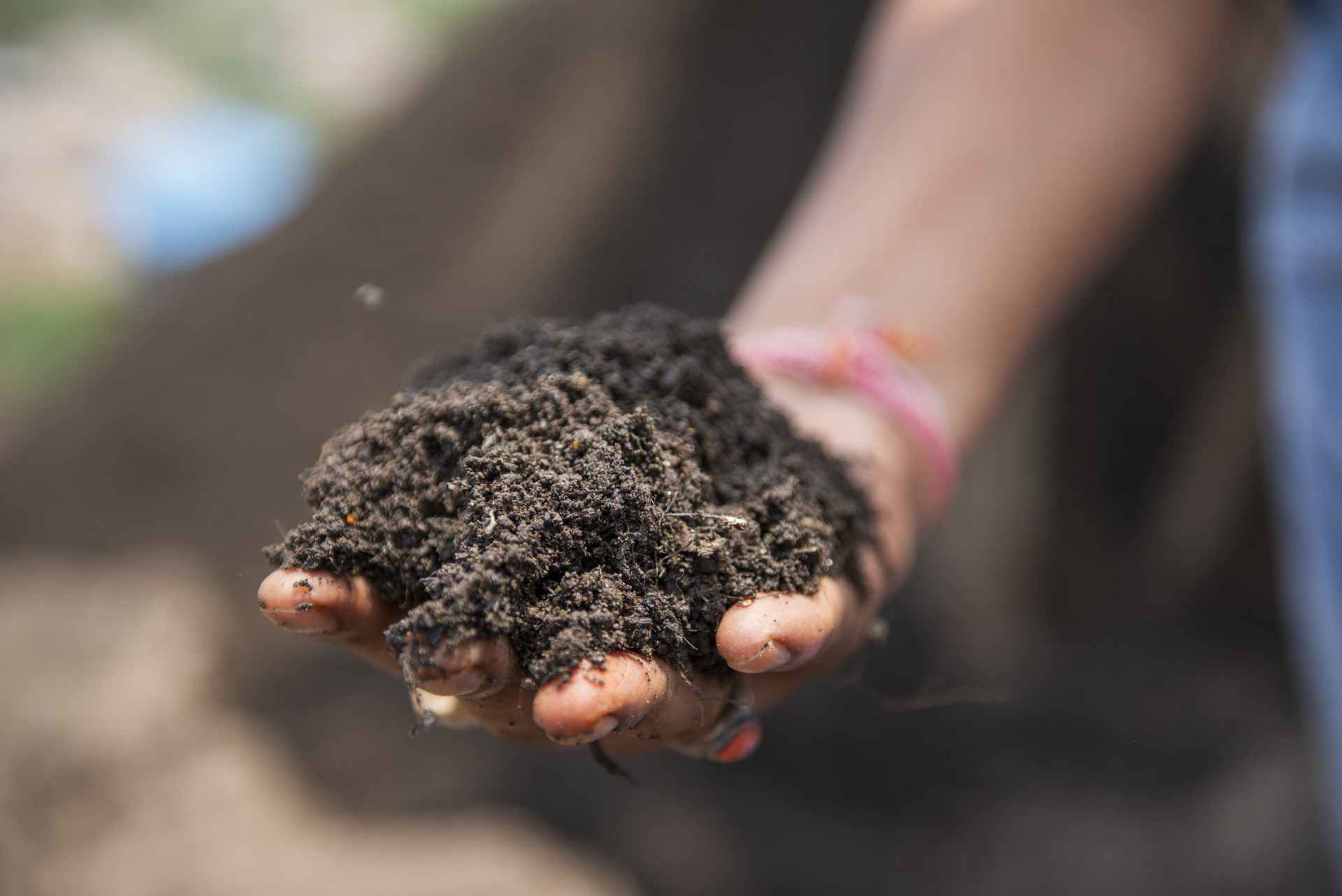 How you can use human waste as fertilizer