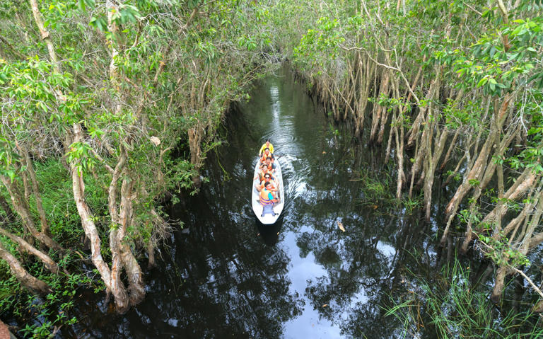 Over 4,300 Southeast Asian species face extinction threat