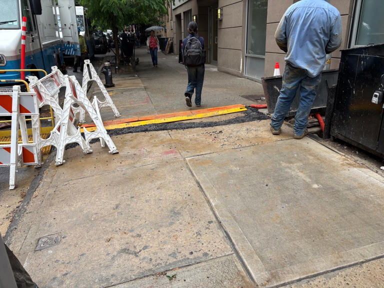NYC dog electrocuted by ConEd live wires days after grandmother killed ...