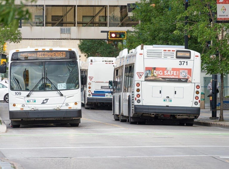 Winnipeg police plan return to transit safety patrols soon