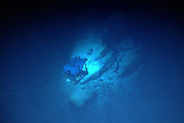 Companies join a deep-sea mining rush after Trump executive order, as ...