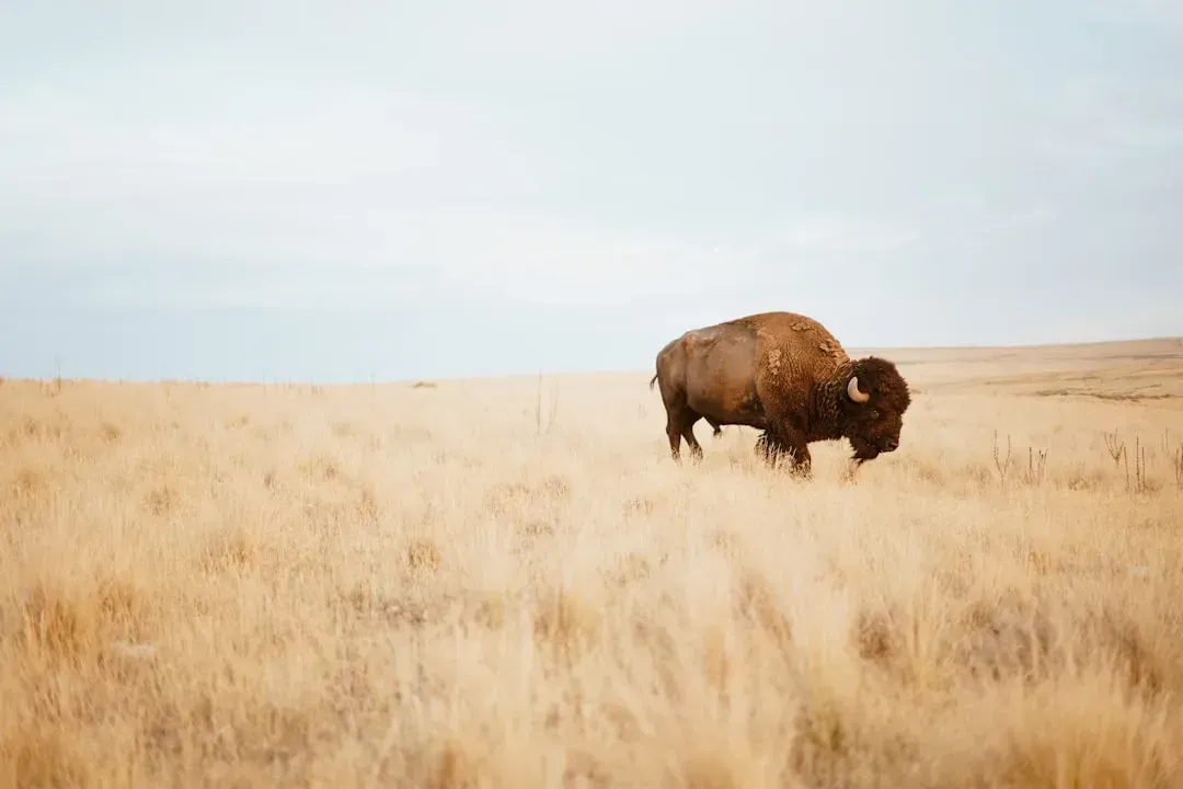 Americans are avoiding these 9 national parks in fear – here's why