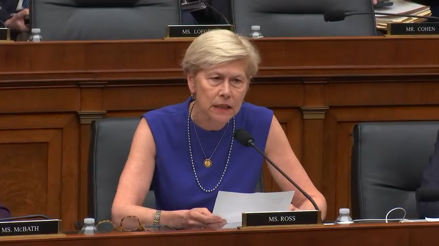 'They know it's wrong': Deborah Ross puts DOJ's 'amateur-hour Trump ...