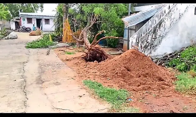 Heavy rain and strong winds uproot trees, damage houses in Yadgiri district