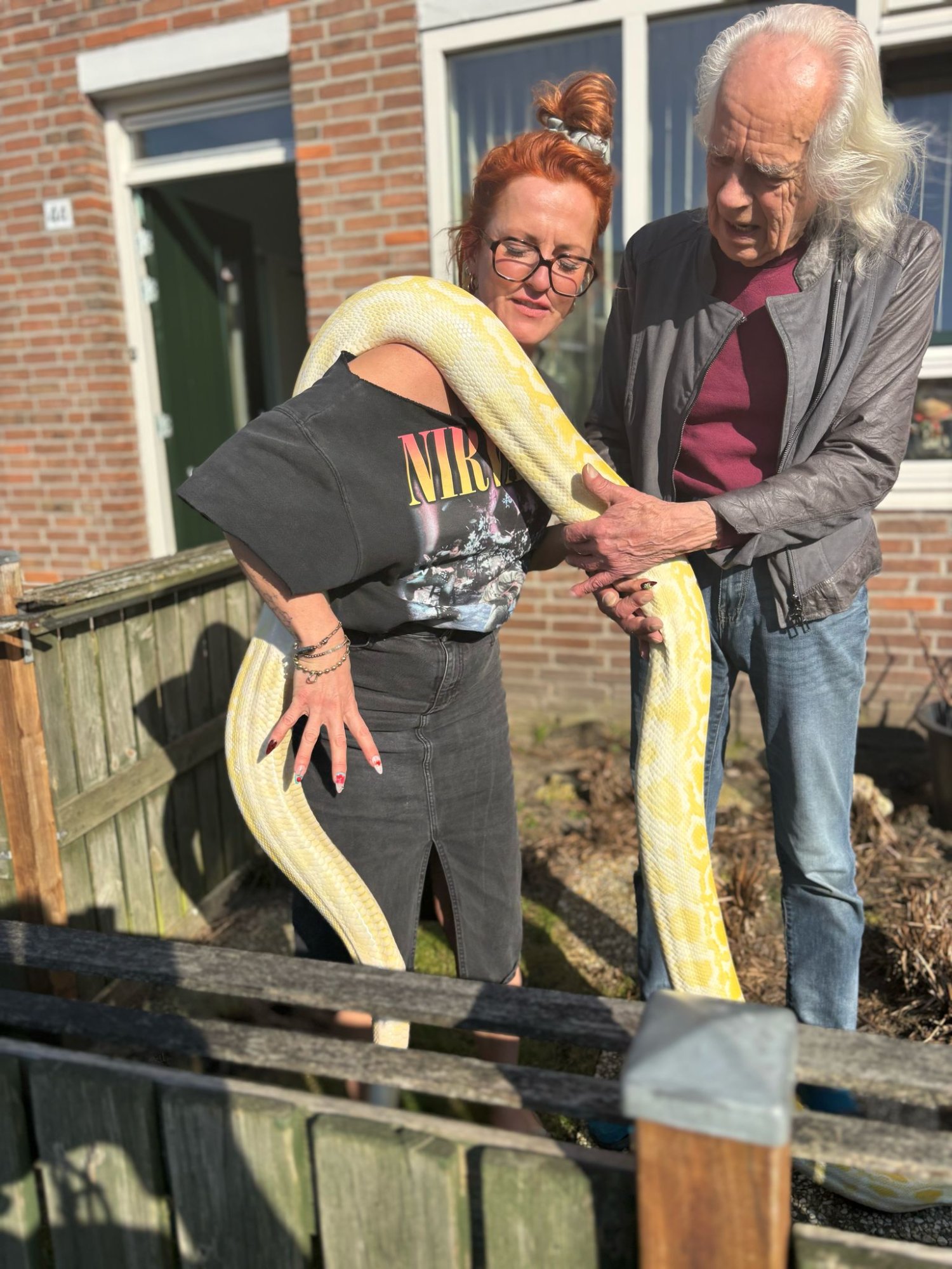 Gigantische python van 61 kilo uit woning gehaald in Enschede na ...
