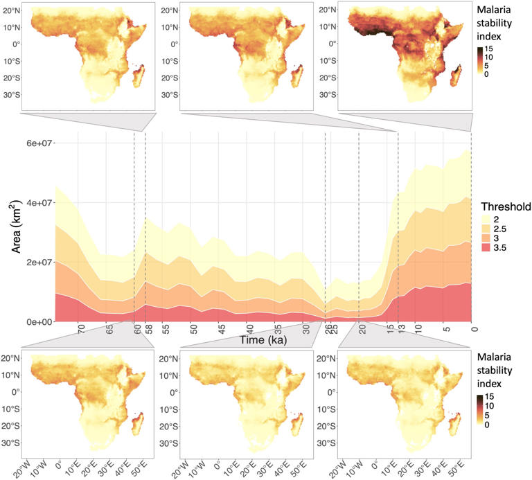 Malaria may have shaped human evolution for thousands of years