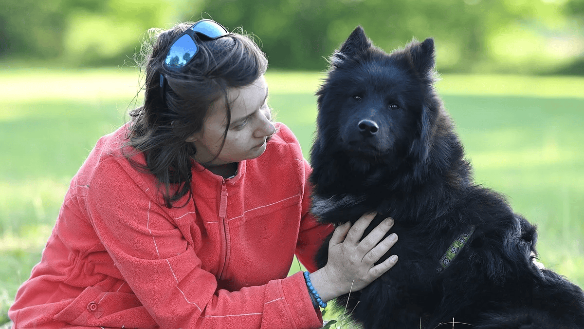The correct way to pet a nervous dog, according to experts