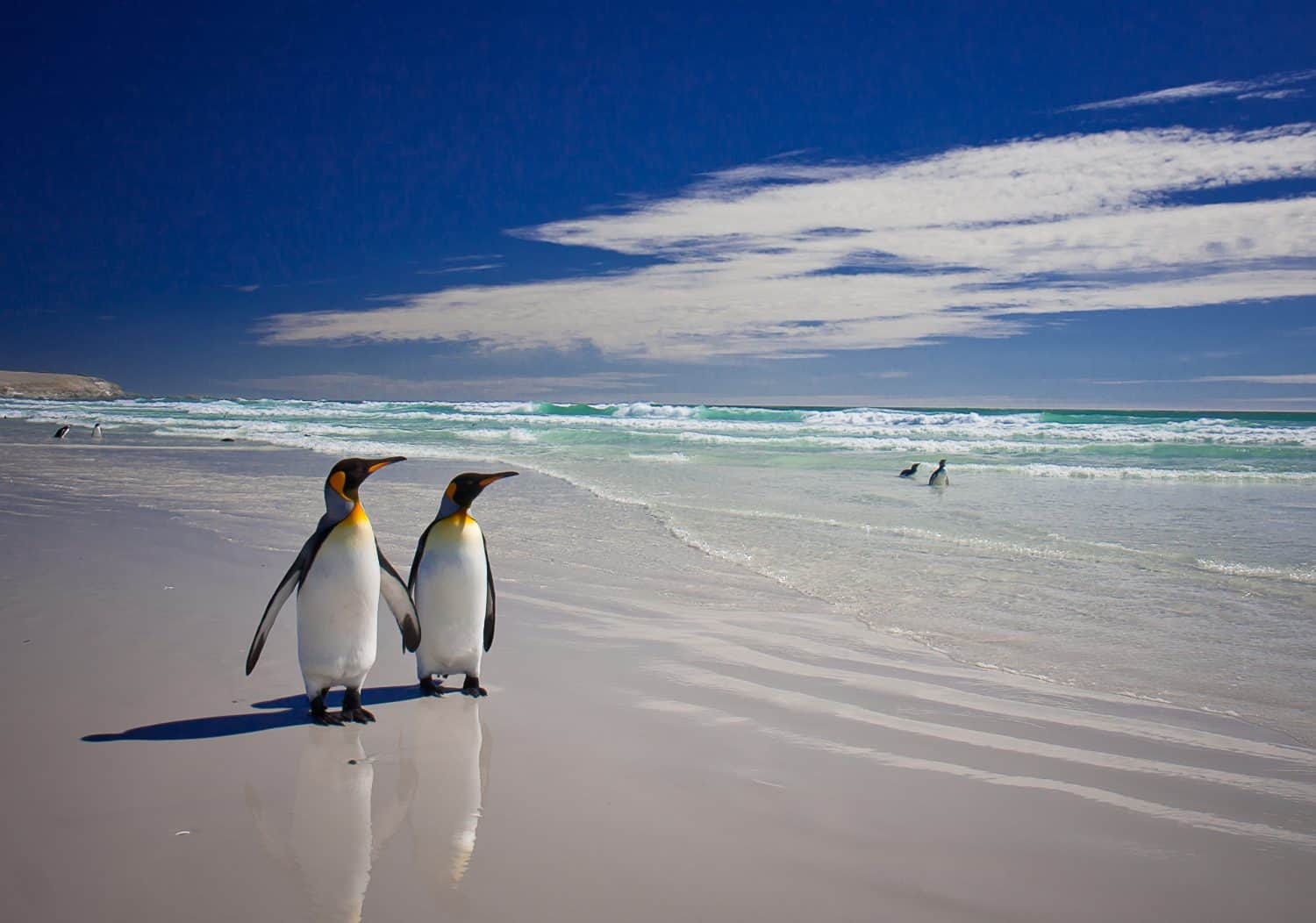20 fascinating nature photos that capture the wild beauty of our world