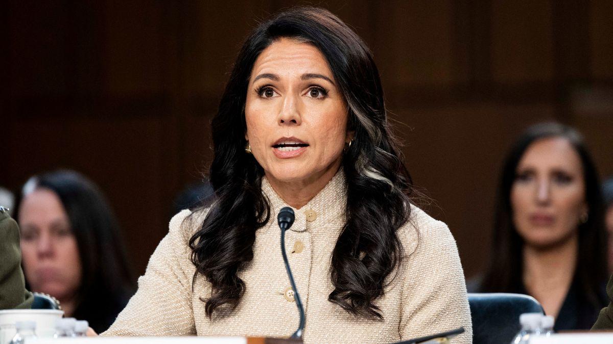 Trump cabinet member Tulsi Gabbard resigns after revealing husband's ...