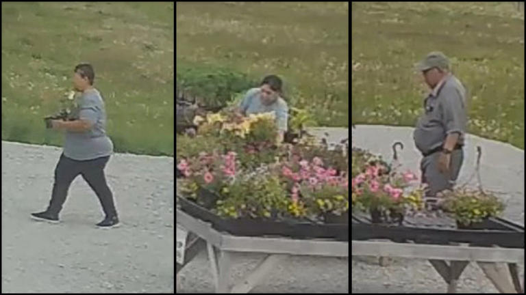 $310 worth of plants stolen from honor-system farm stand, suspects ID'd
