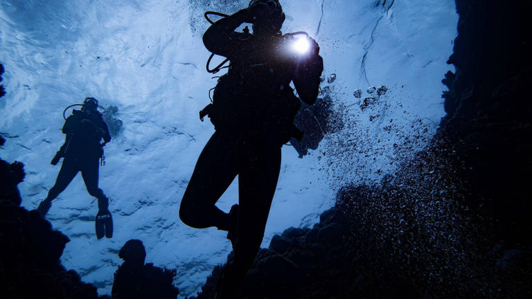 After 6 dead in a Maldives scuba tragedy, the safety lessons we need to ...