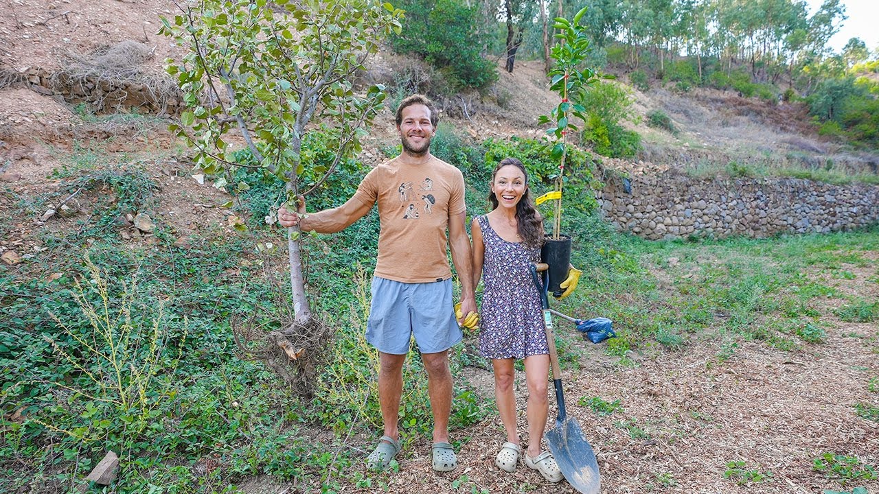 Starting our food forest & soil testing on our homestead 🍊