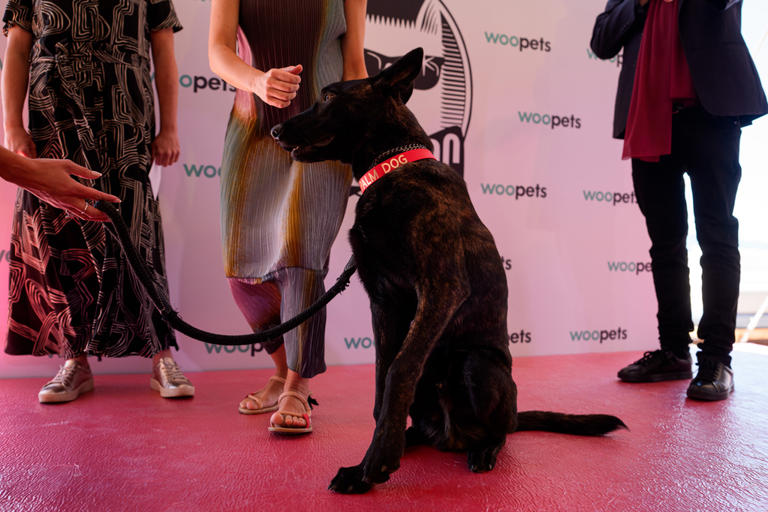 A round of a-paws for ‘La Perra,’ winner of the Palm Dog award at Cannes