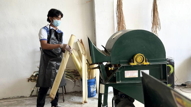 Natural textile fiber hub in Isabela aims for ₱9M yearly income and job ...