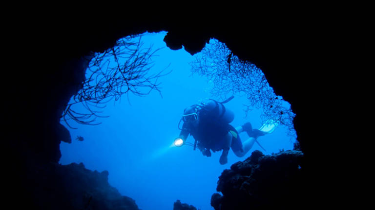 After 6 dead in a Maldives scuba tragedy, the safety lessons we need to ...