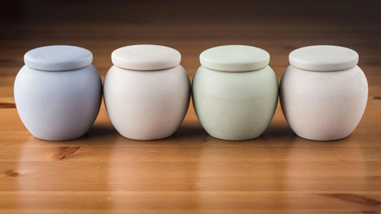 California family reports an urn they bought on Amazon arrived at their ...