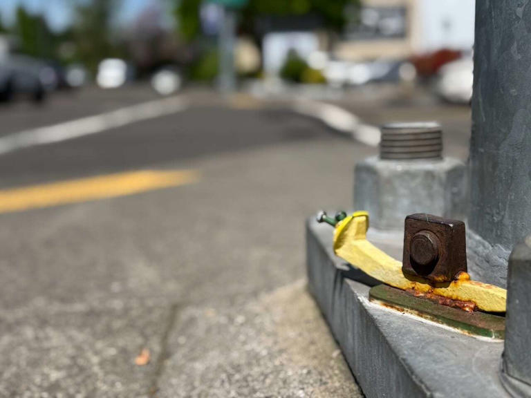 A guerrilla artist hid 15 snails across Milwaukie. Finding them unlocks ...