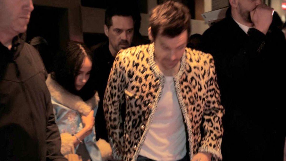 'Private' Harry Styles and fiancée Zoë Kravitz may have an 'intimate ...
