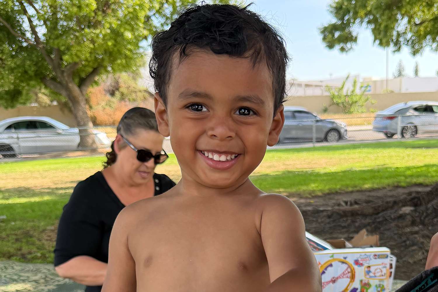 3-year-old went into cardiac arrest after fatal crash, family says ...