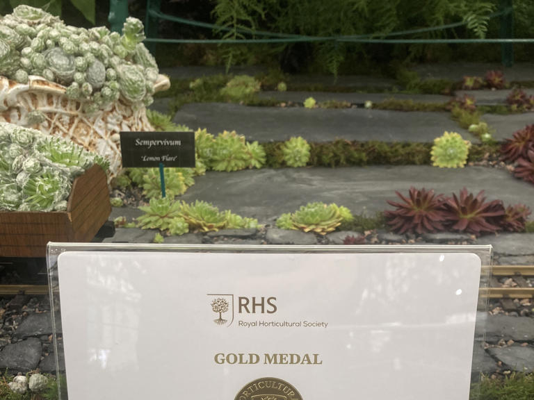 'Mission accomplished' - Leafy Lytham wins gold at RHS Chelsea Flower Show