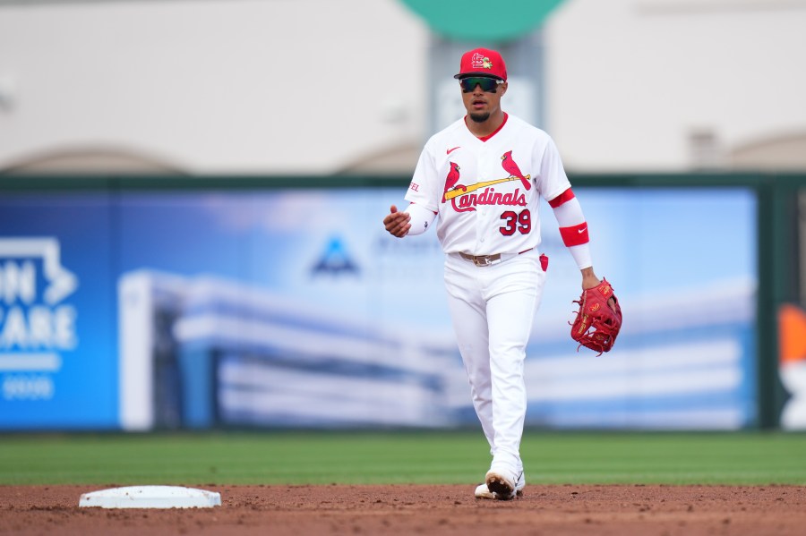 Cardinals promote hot-hitting prospect Bryan Torres. Are more moves ...