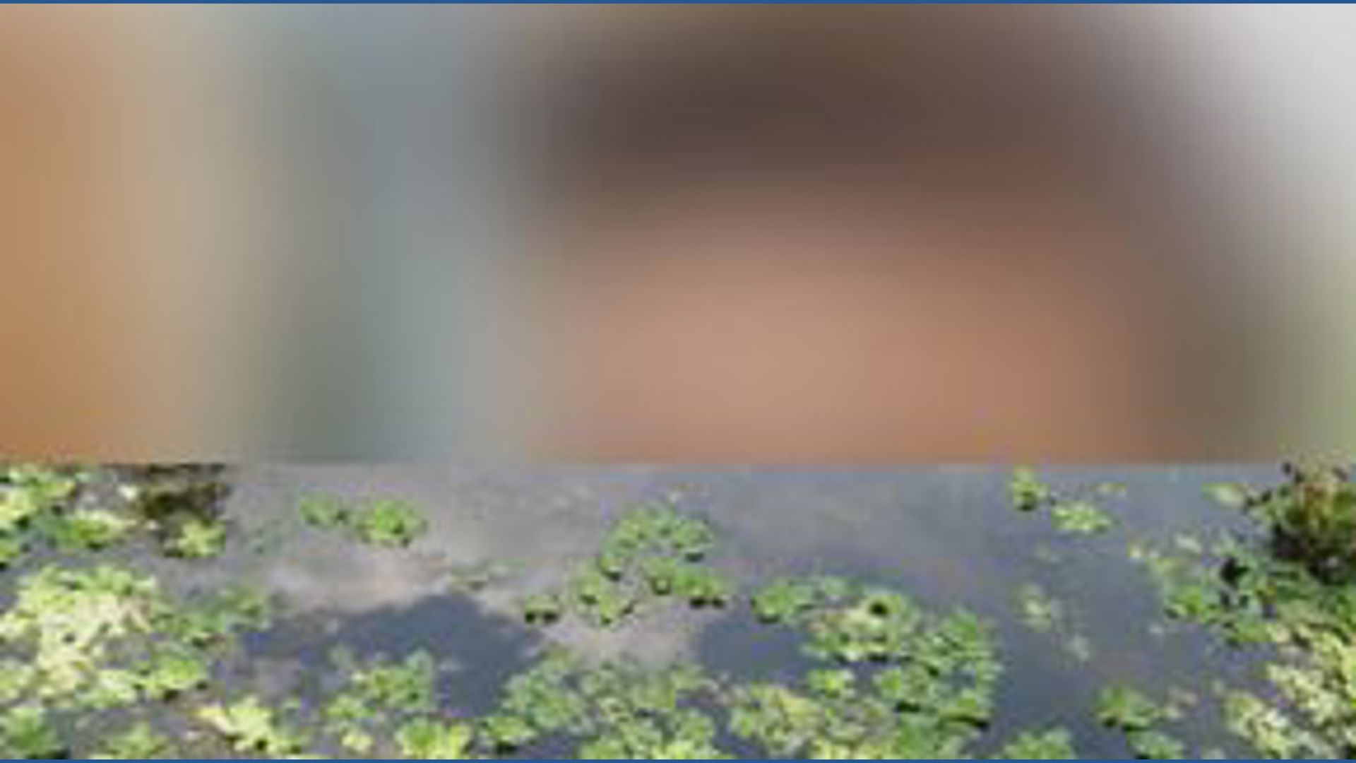 MDARD updates invasive species list
