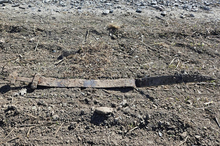 Menino de 6 anos encontra espada viking de 1.300 anos durante excursão ...