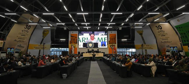 30 years on: South Africa's Constitution celebrated at parliamentary ...