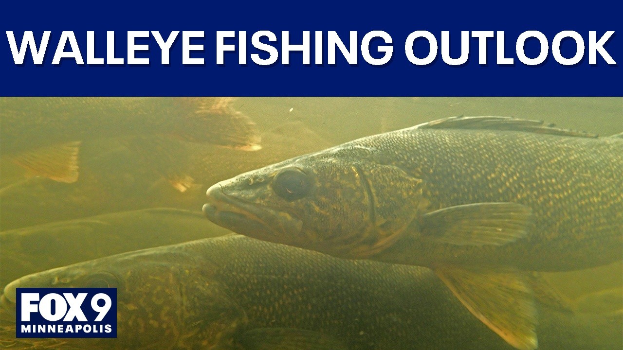 Memorial Day weekend fishing outlook: Warm weather good for catching ...