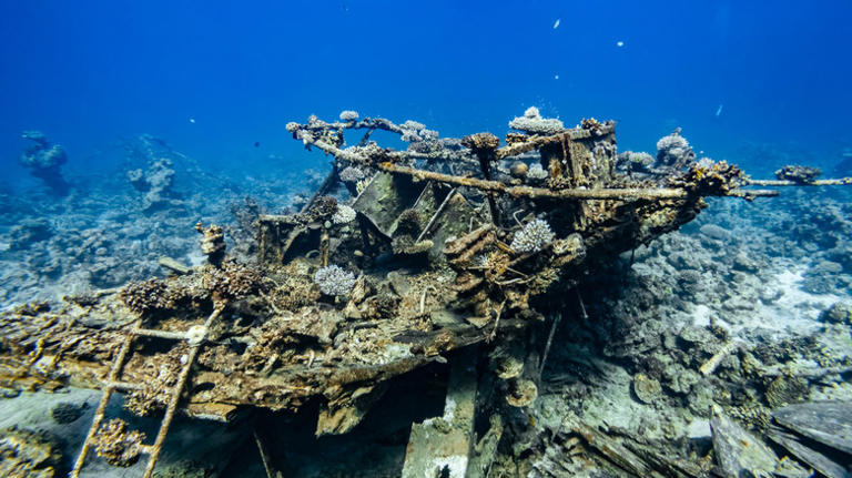 This diving robot is investigating 500-year-old secrets off the French ...